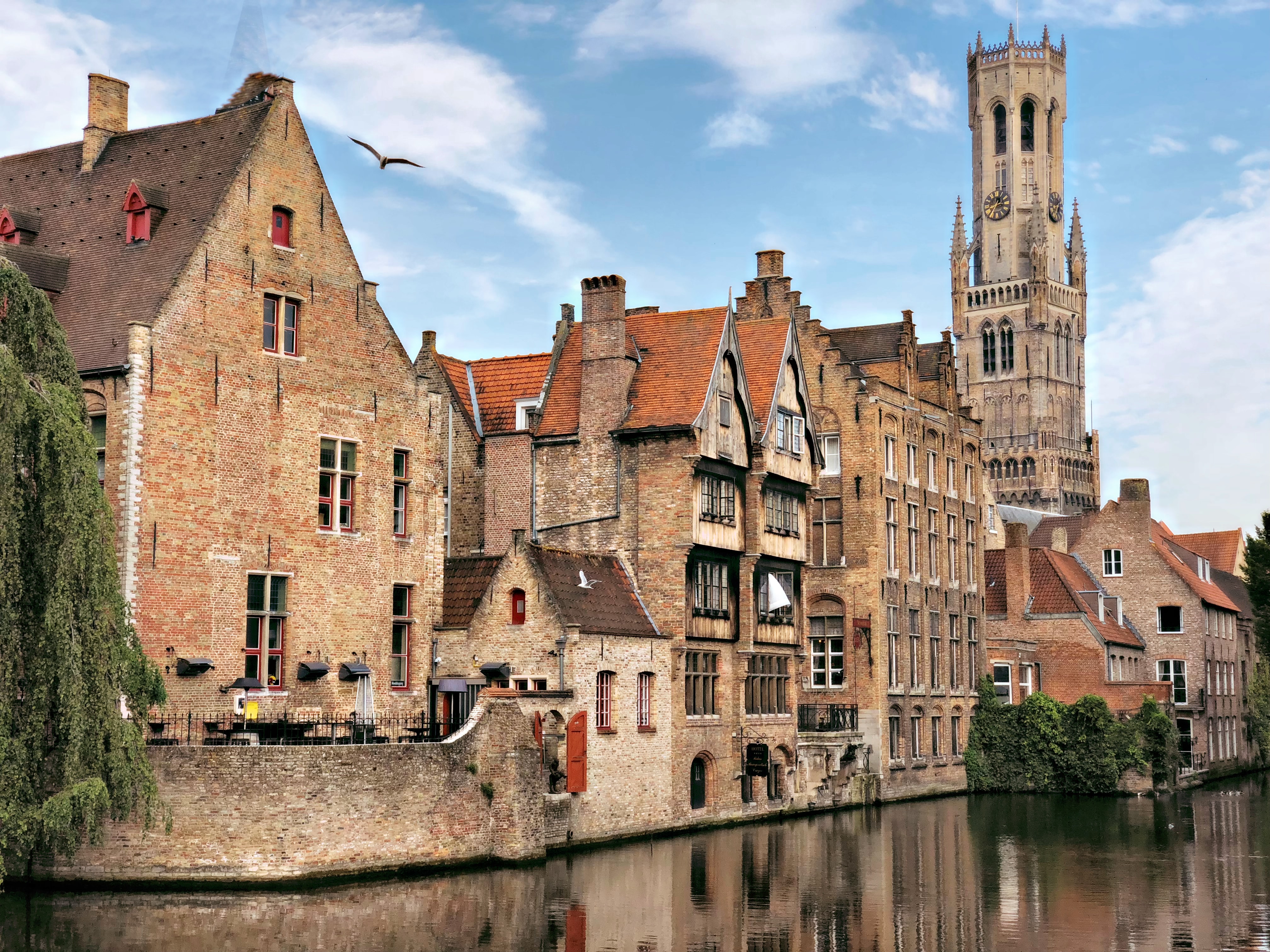 An Antwerp City Break with Kids: Your 2024 Guide
