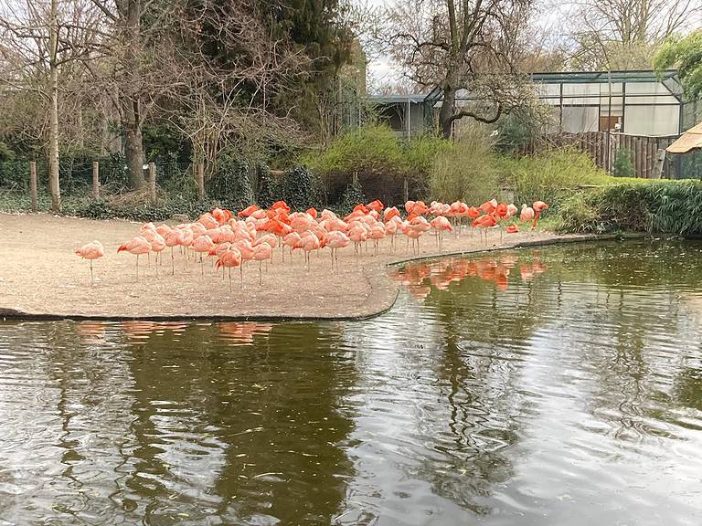 The 12 Best Zoos in Europe to Add to Your Bucketlist in 2024