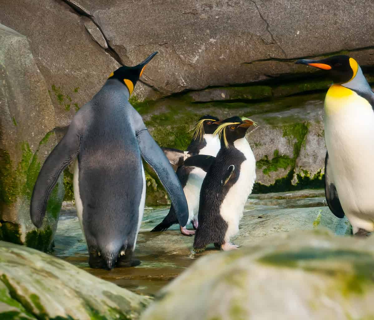 The 12 Best Zoos in Europe to Add to Your Bucketlist in 2024