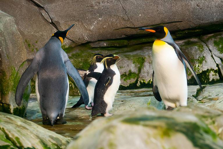 The 12 Best Zoos in Europe to Add to Your Bucketlist in 2024