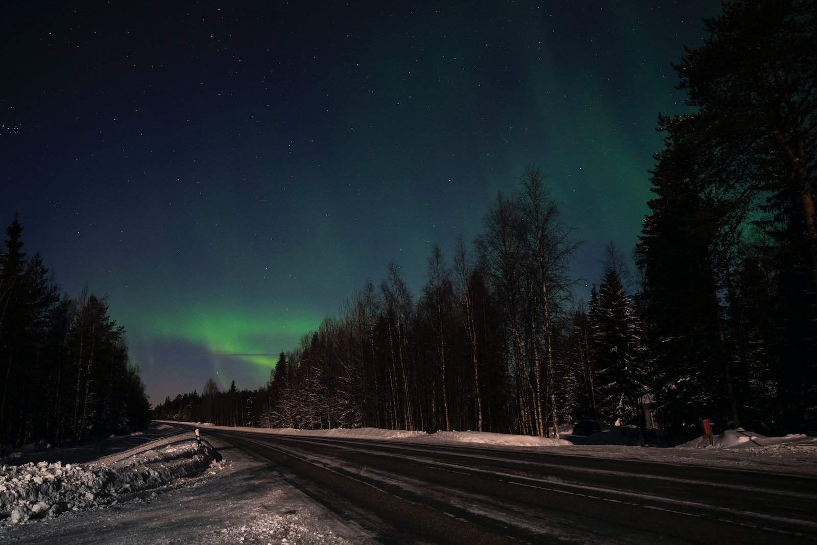 Ruska Season in Finland: Autumn in Finland 2024