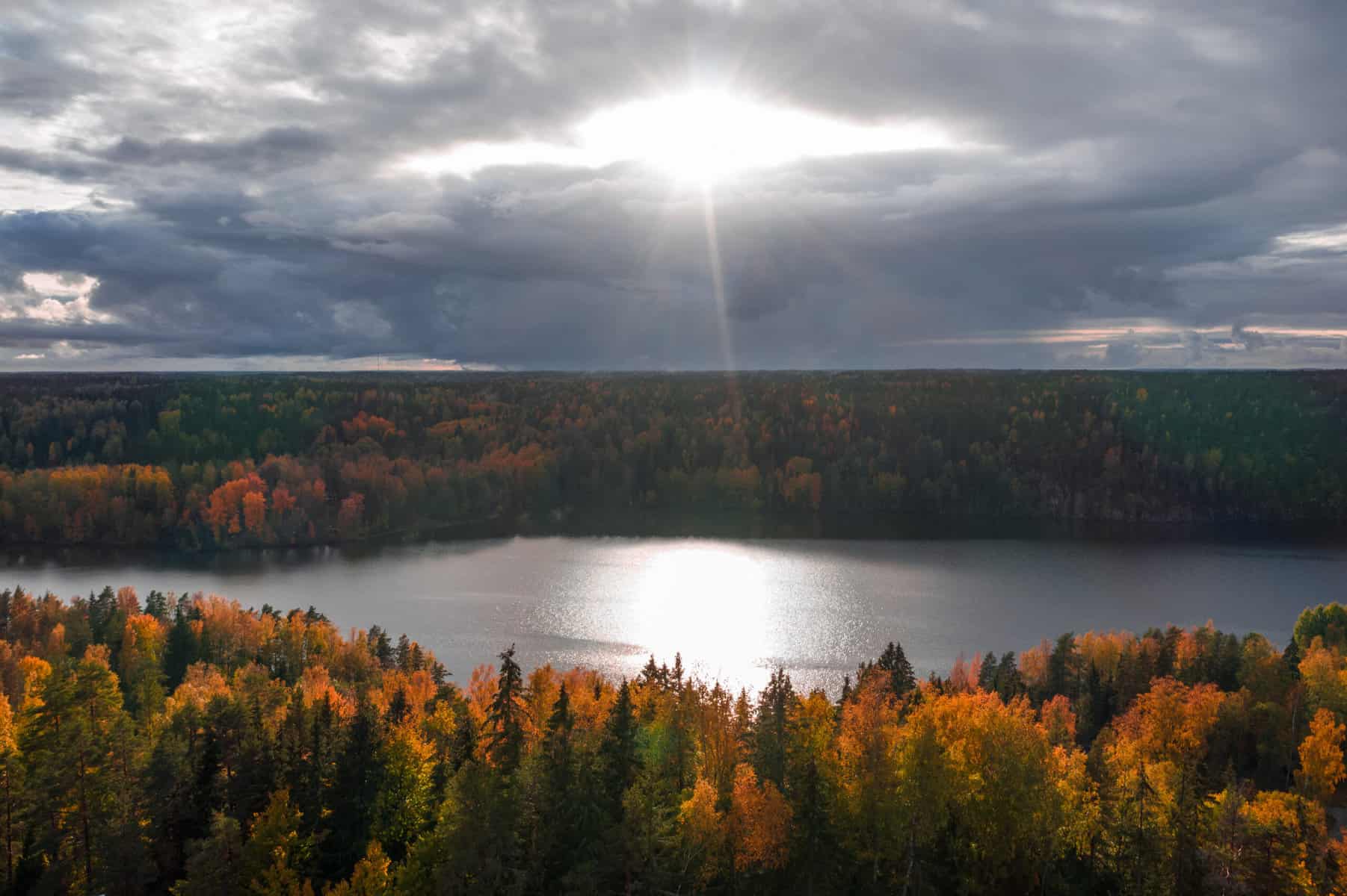 Ruska Season in Finland: Autumn in Finland 2024